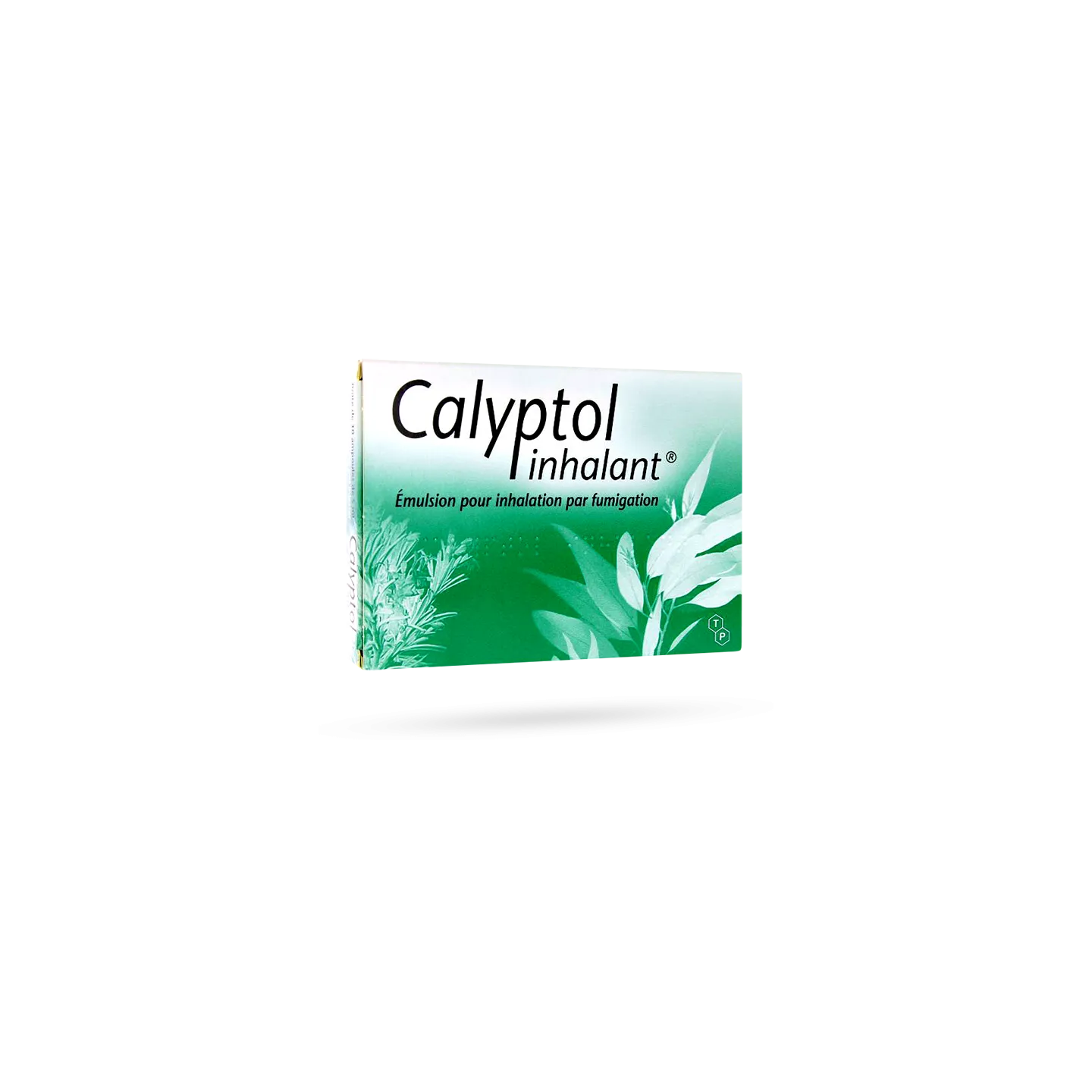Calyptol inhalant 10 ampoules pour inhalation par fumigation