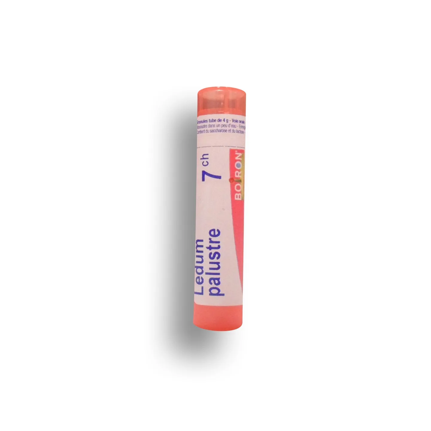 Ledum palustre Boiron tubes granules et doses - 4 CH 5 CH 7 CH 9 CH 12 ...